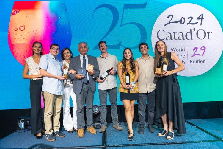 Catad' Or Wine Awards 2024: Vino Reserva Perucich es premiado como el ...